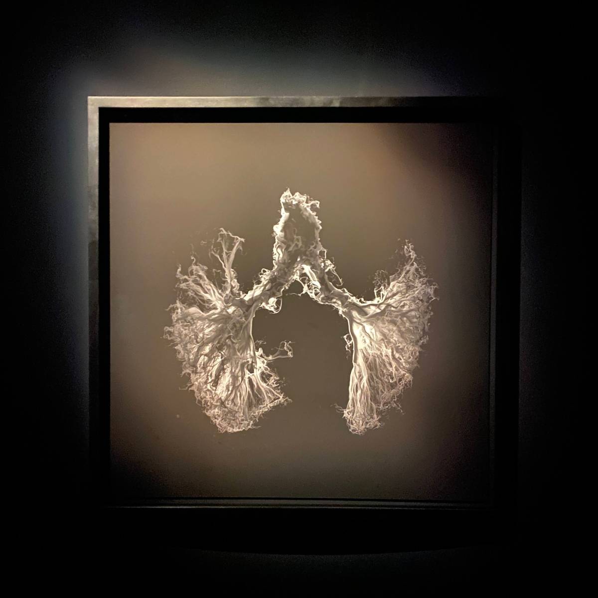 April and May Catch-Up – Tom Isaacs